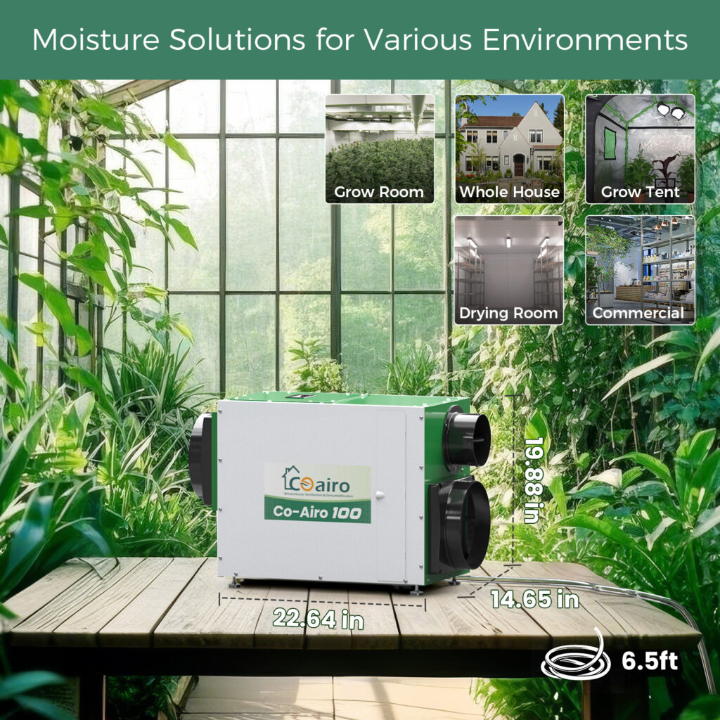 90 PPD Professional-Grade Whole-House Dehumidifier with Pump for Plant ...